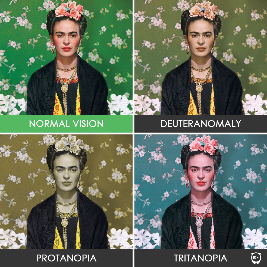 different-types-color-blindness-photos-77 - For Healthy Lifestyle
